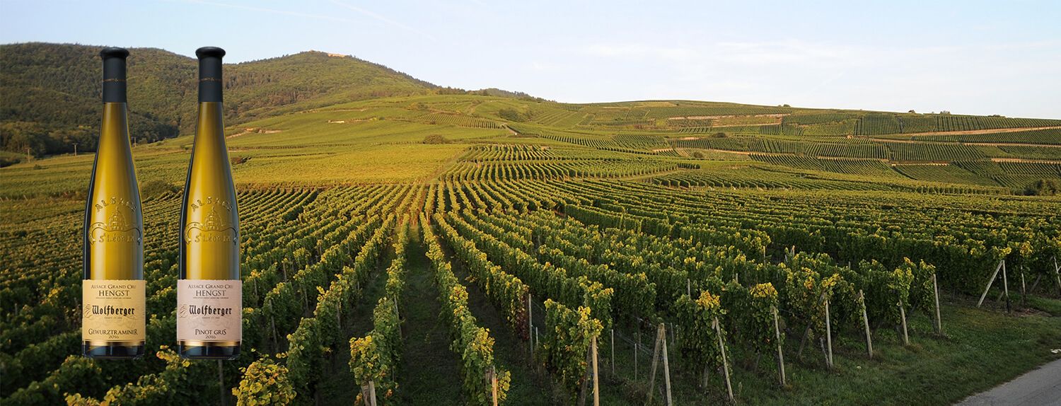 Vente en ligne de vins d'Alsace, de Crémants et de spiritueux | Wolfberger
